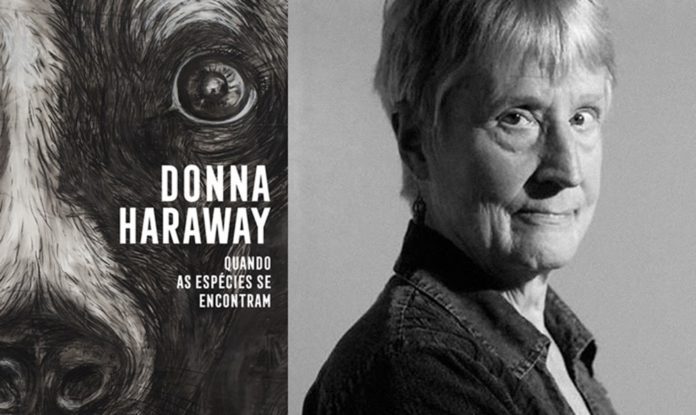 Em novo livro, Donna Haraway propõe reflexão sobre nossa relação com ...